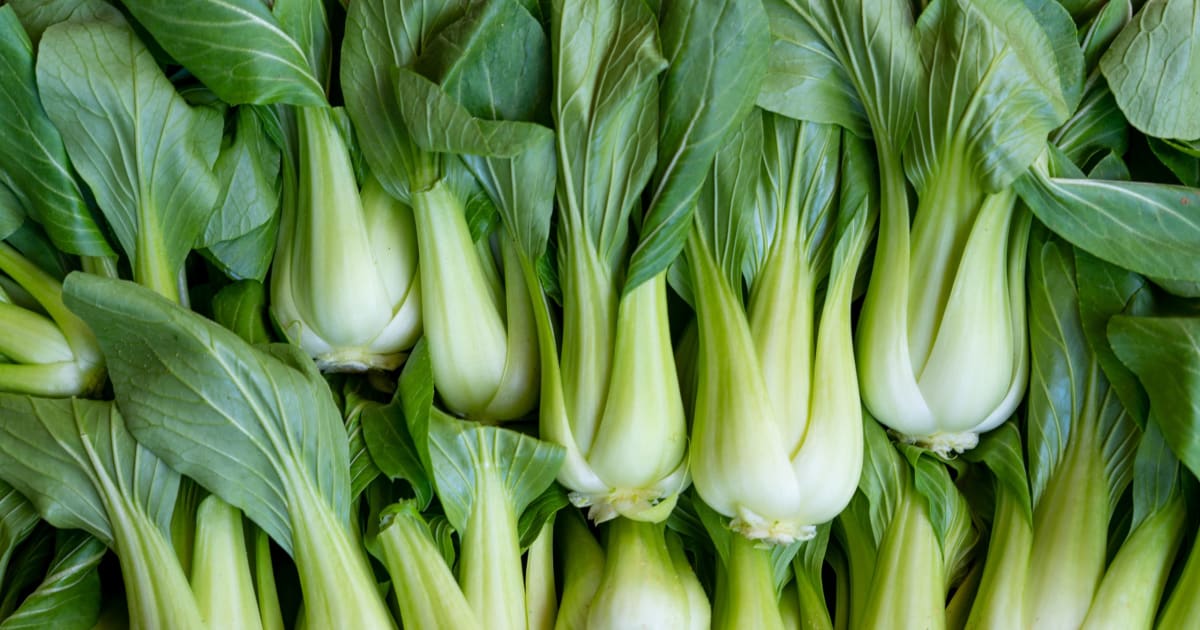 Pak Choi: Jetzt Saison? | Swissmilk | Swissmilk