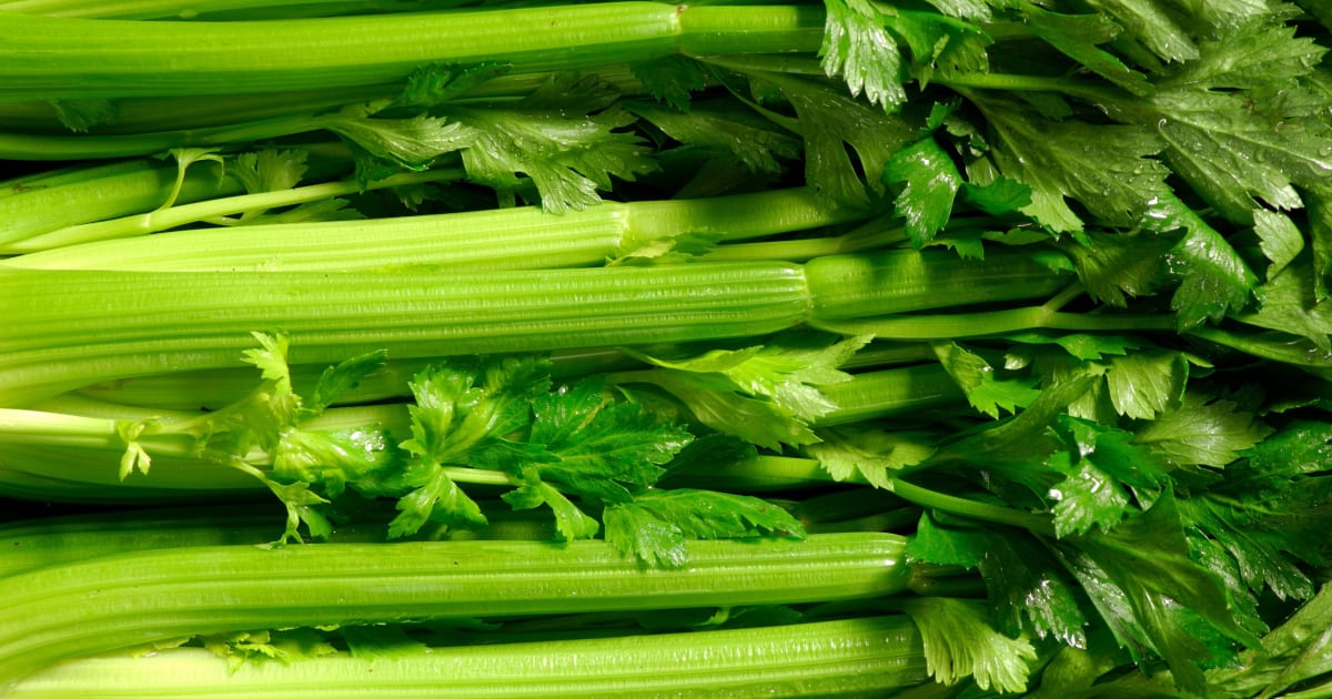 Stangensellerie: Jetzt Saison? | Swissmilk