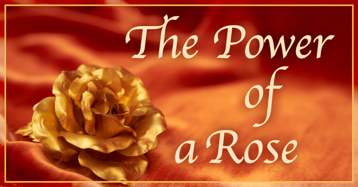 Offerings to Gurumayi in Honor of Gurumayi's Gift of a Rose