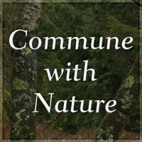 2015: Commune with Nature