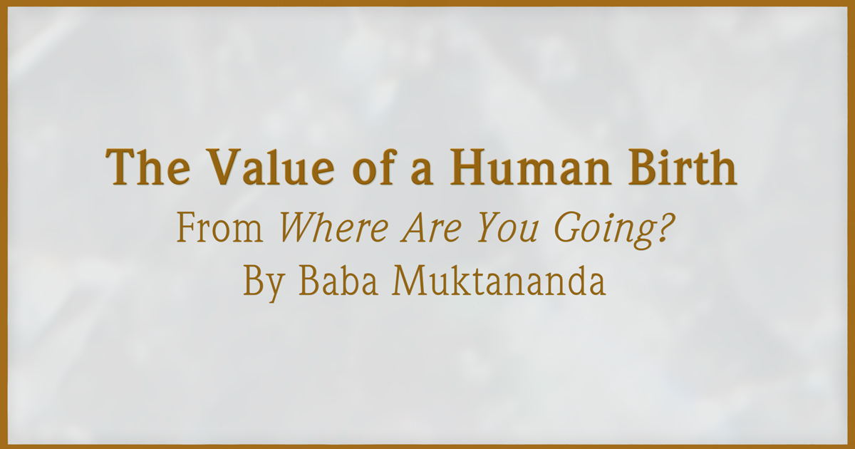 The Value of a Human Birth