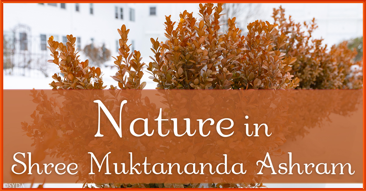 nature-gallery2