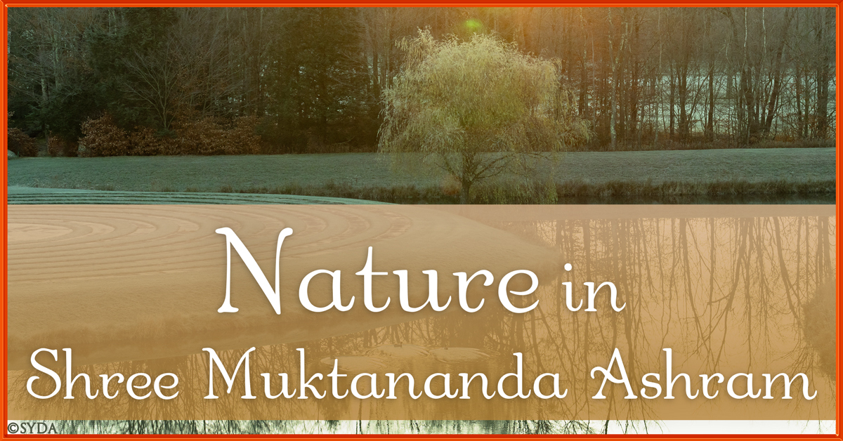 nature-gallery3