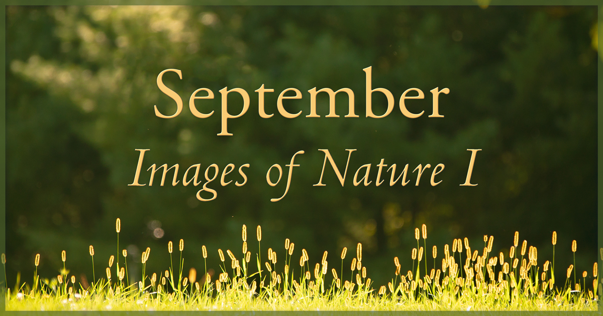 September 2019: Images of Nature