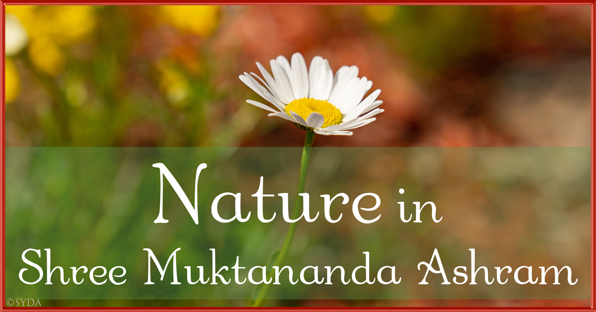 nature-gallery2