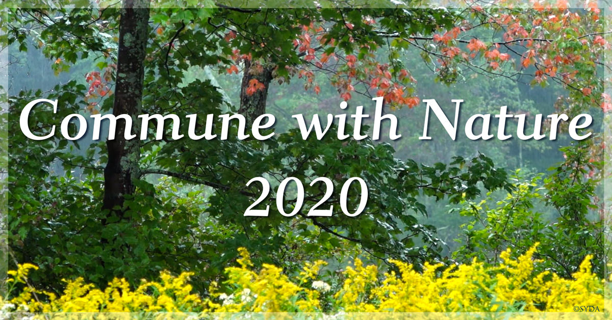 2020: Commune with Nature