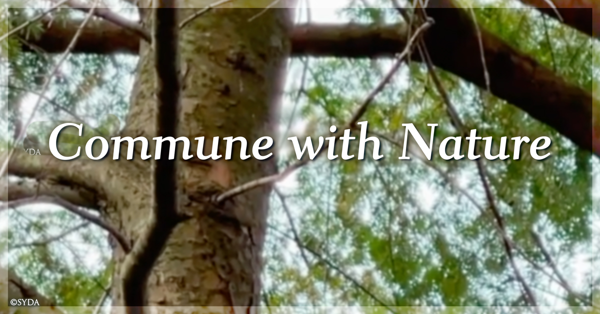 2021: Commune with Nature