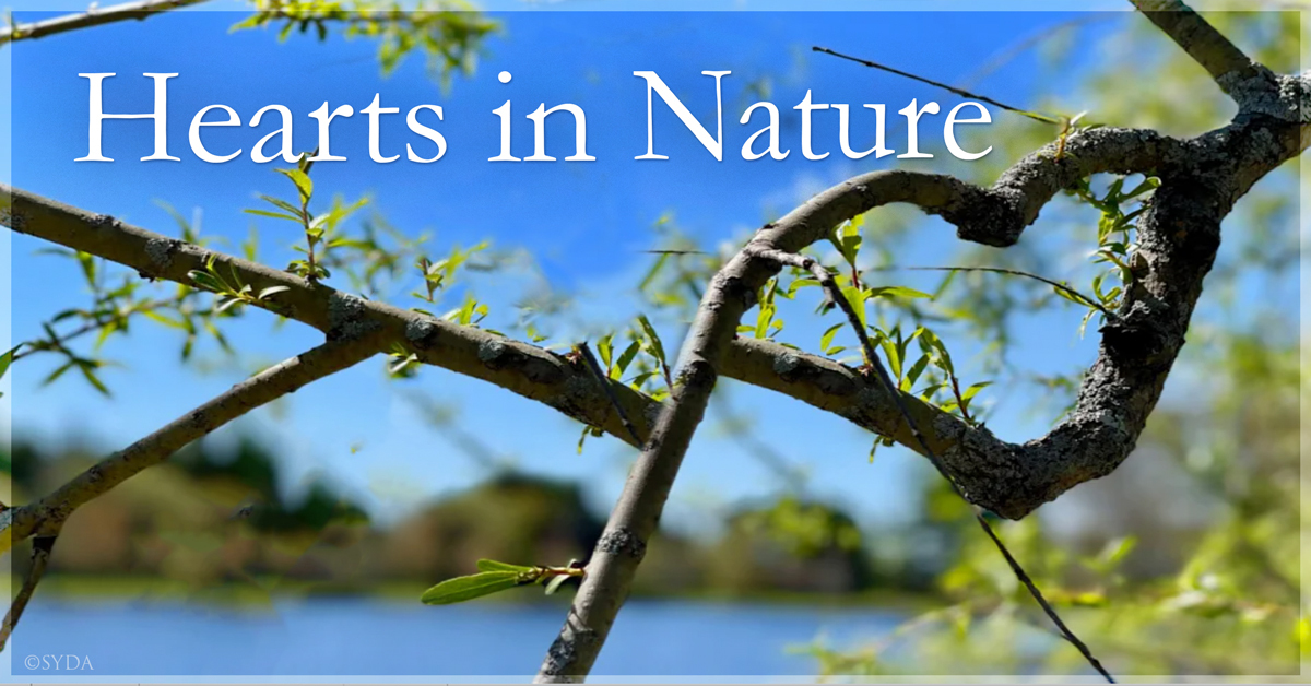 2021: Hearts in Nature IV