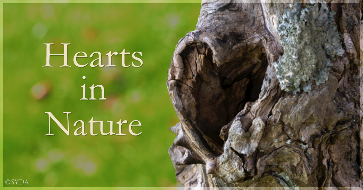 2022: Hearts in Nature