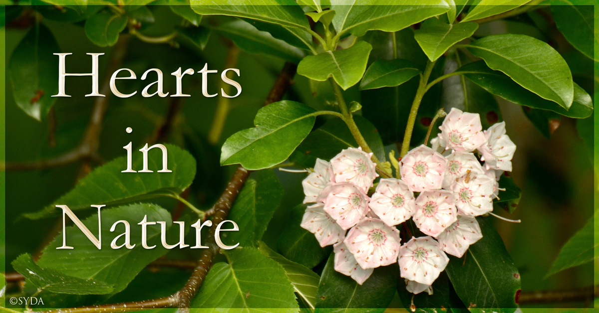 2023: Hearts in Nature III