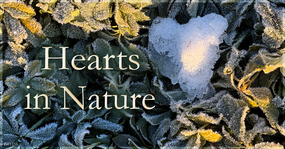 Hearts in Nature