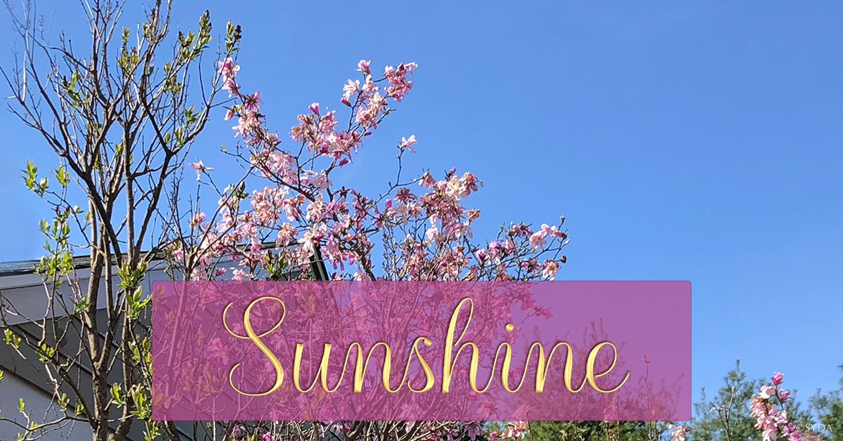 Sunshine on the Roof