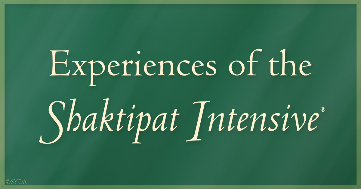 Experiences of the Shaktipat Intensive