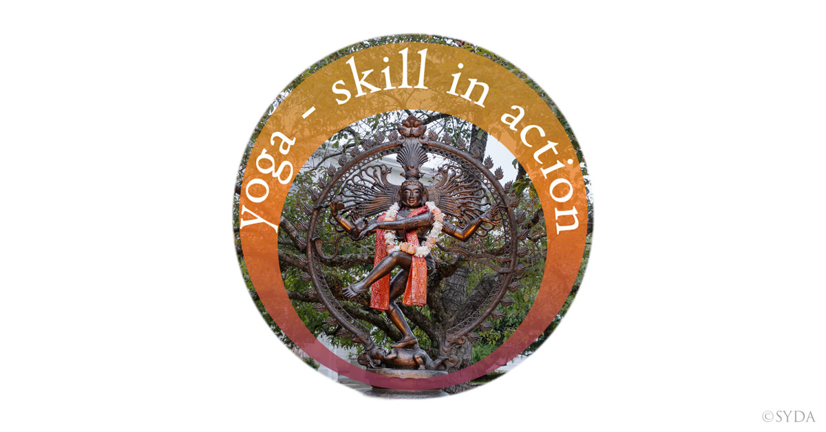 Yoga Skill in Action 2