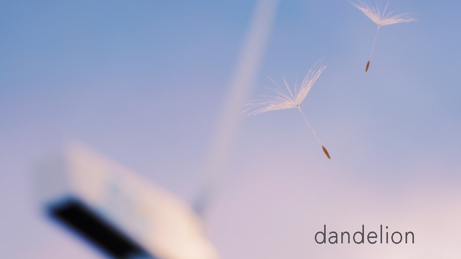 Dandelion Short Film Tabb