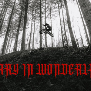 Harry in Wonderland | Short film | Tabb