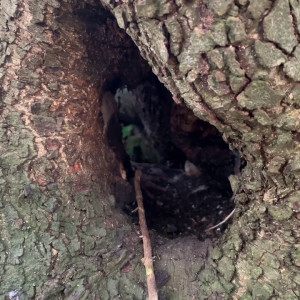 Autumn leaves - documentary | Documentary | Tabb