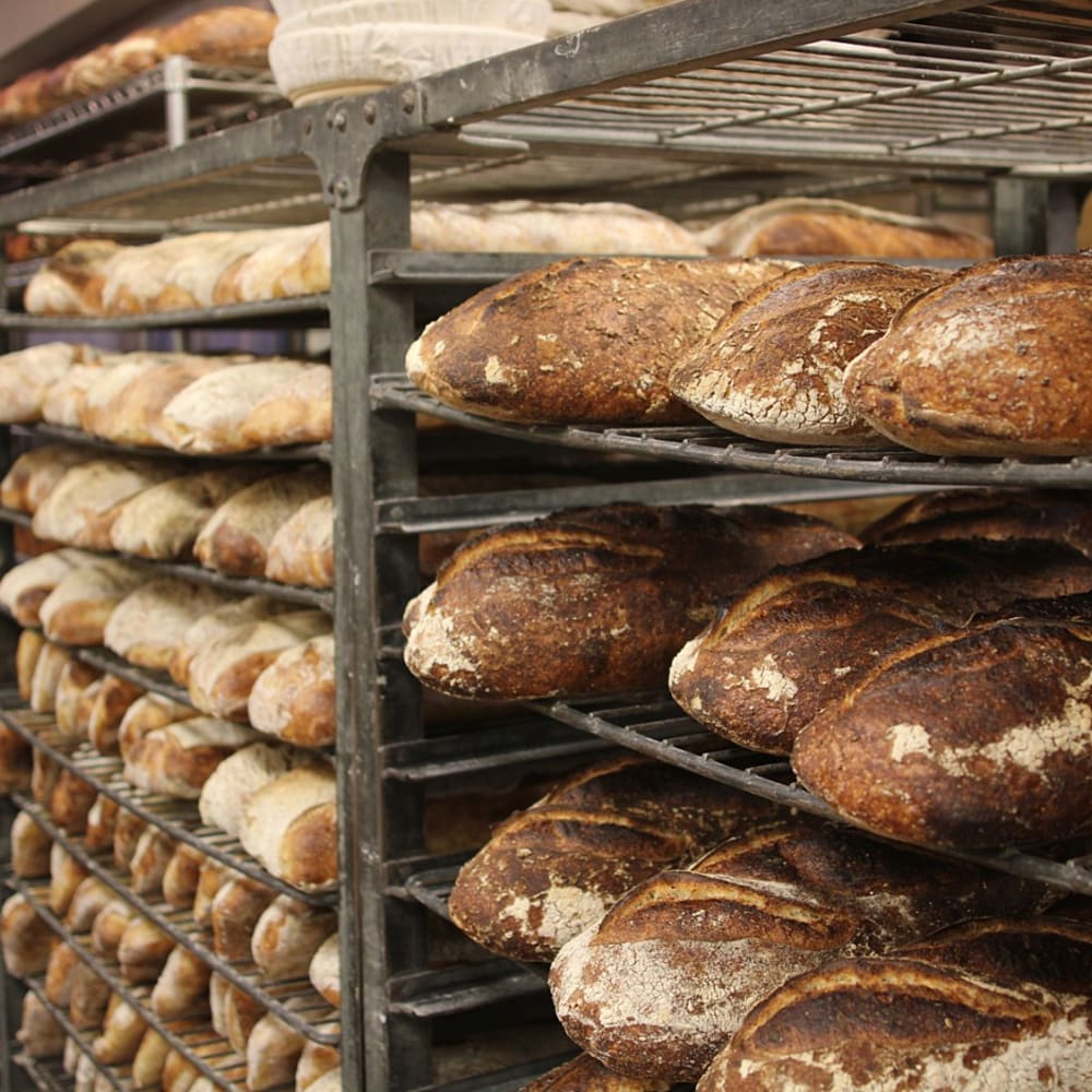 Table22 - Publican Quality Bread Club