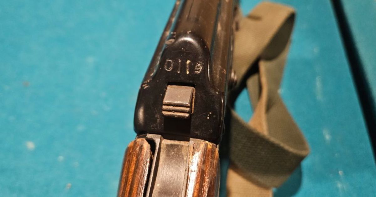 Egyptian AKM - Low Serial | Tacswap