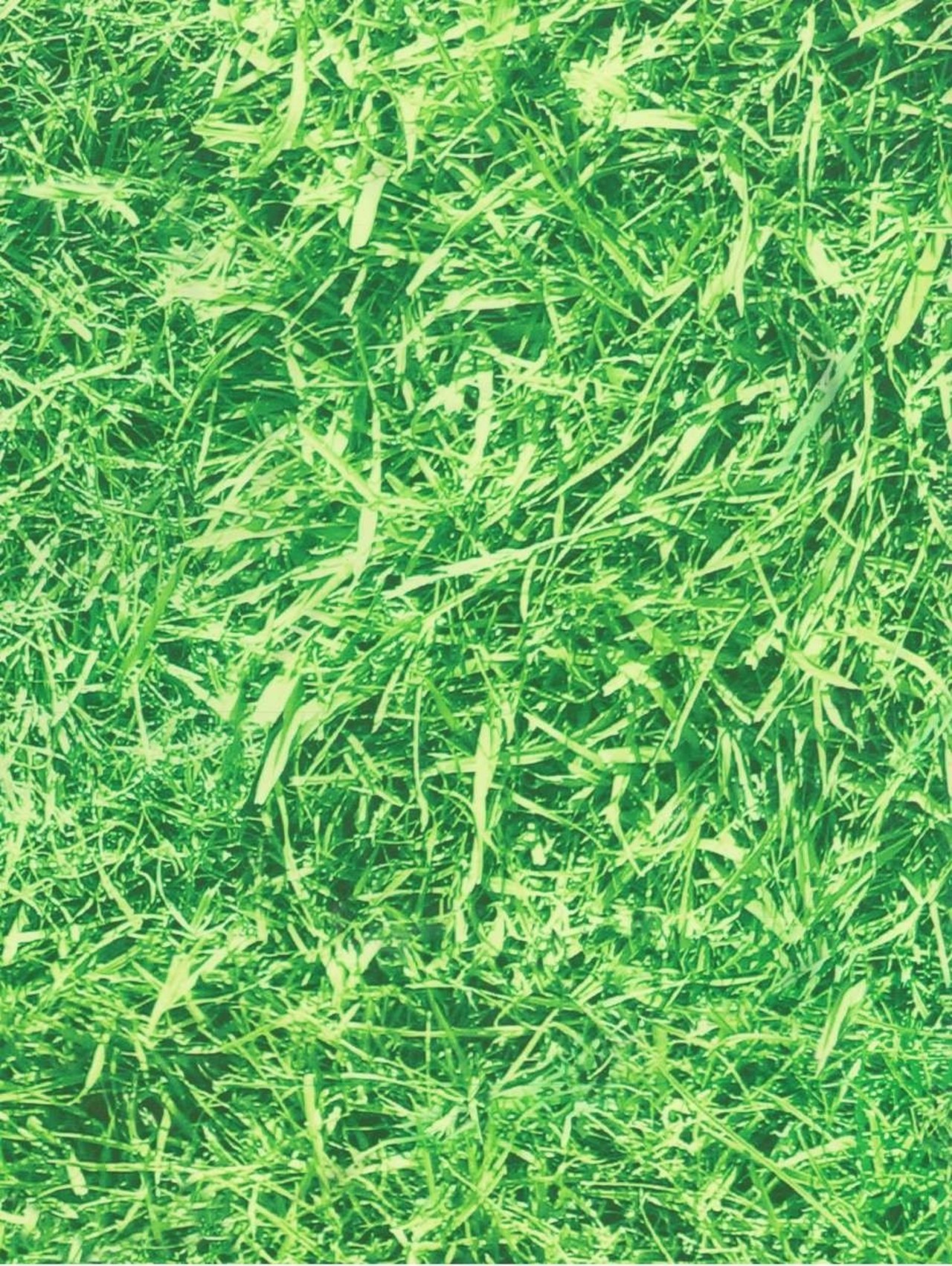Grasprint summer | Tafelzeil.com