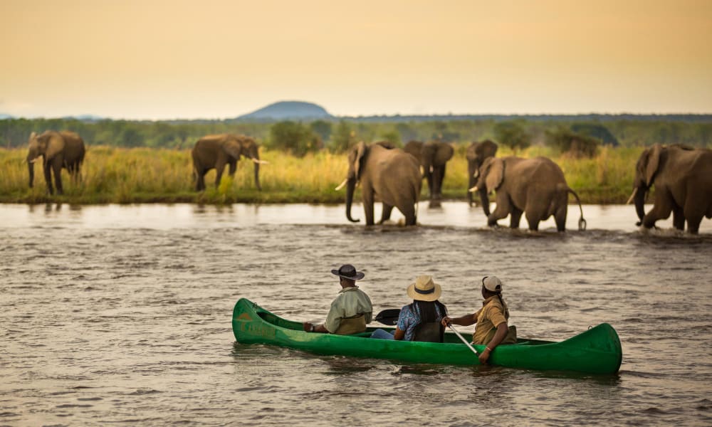 Lower Zambezi National Park - Safaris in Zambia