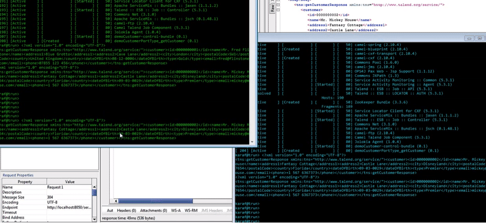 Talend ESB: Entrance Power Guide - Talend | Talend