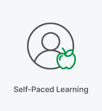 Qlik Training: Adopt to Qlik Products & Improve Data Literacy