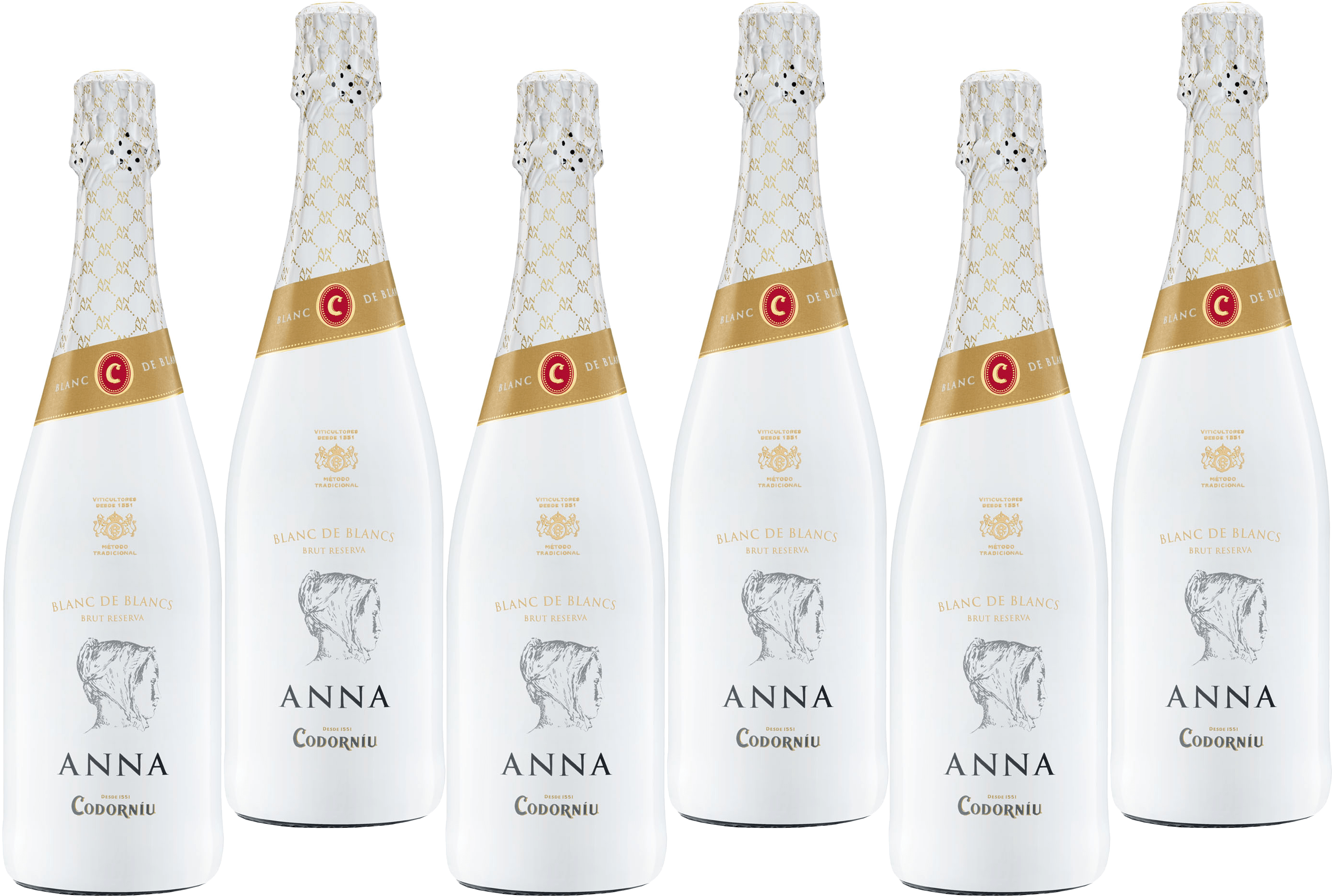 Anna de Codorníu Blanc de Blancs Brut Cava 6x75 cl - Tallink Pre-Order