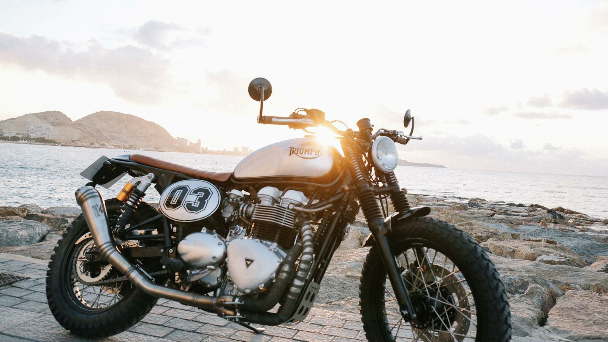 Moto Tamarit número 16 | Pantera estilo street con motor Triumph