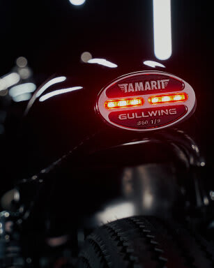 113 Gullwing X | The legacy of a saga that has no borders