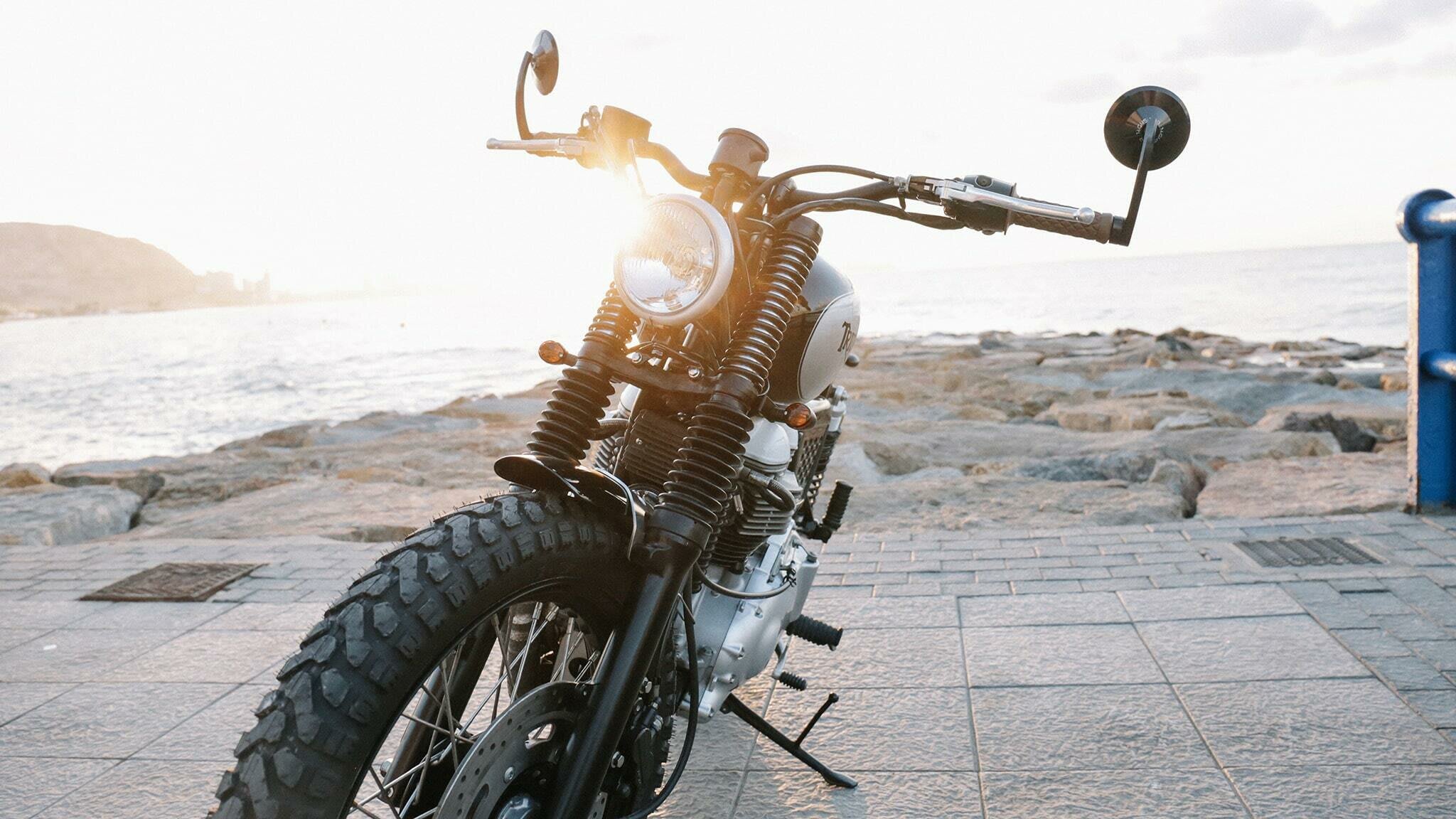 Moto Tamarit número 16 | Pantera estilo street con motor Triumph