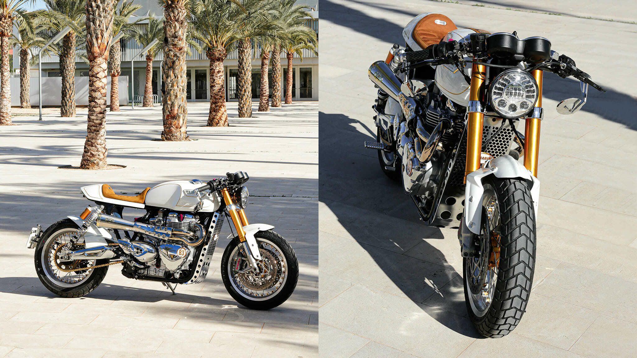 Tamarit 83 | A Cafe Racer on a Thruxton 1200 R engine, speed and design