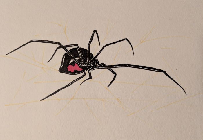 Coby Tamayo's Illustrations