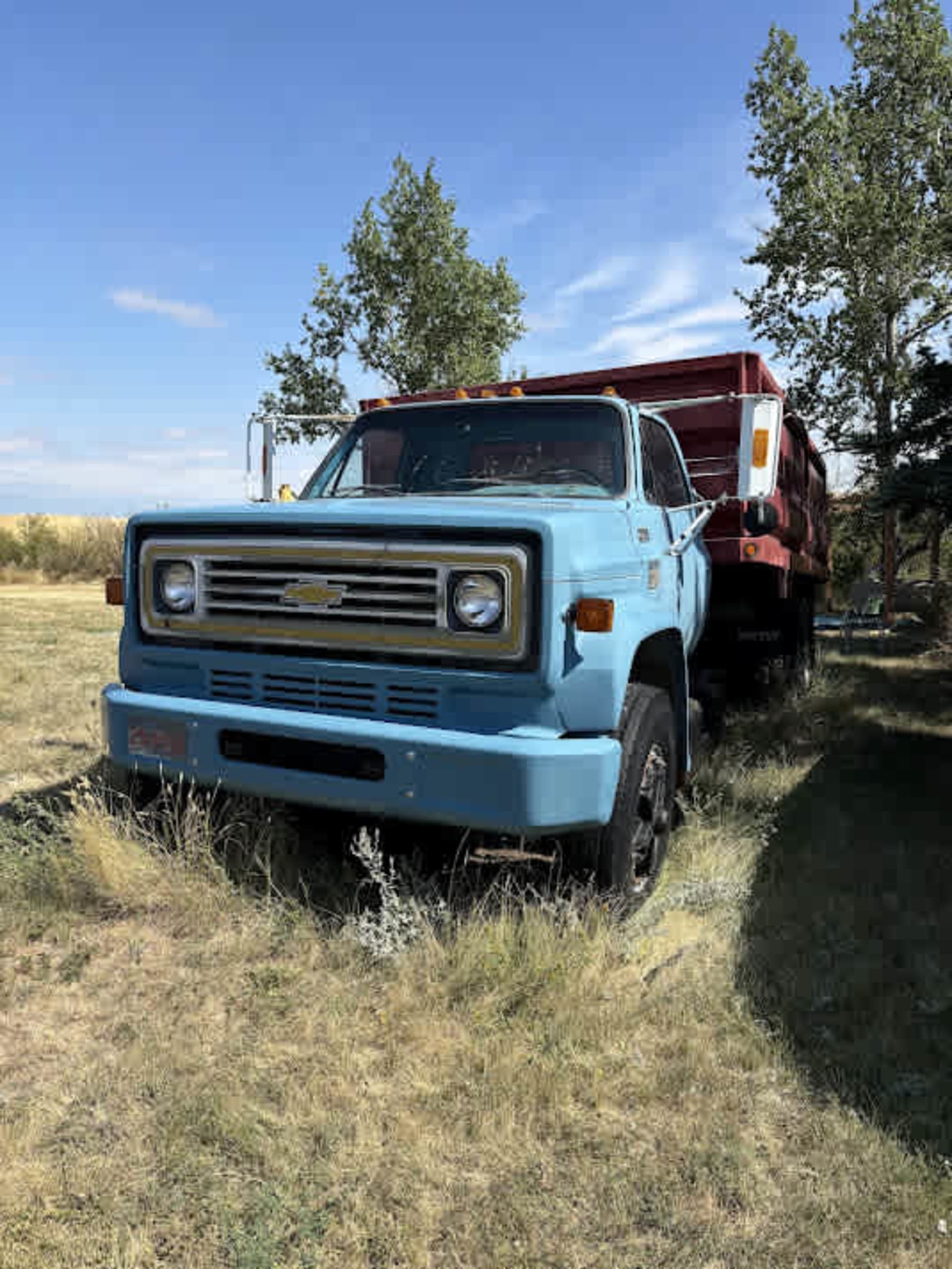 1979 Chevy C70 Single Axle Truck