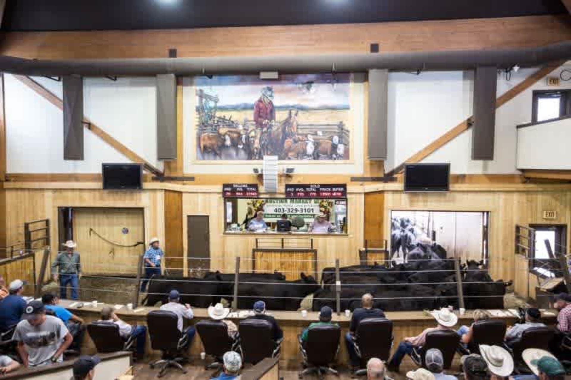 REGULAR CATTLE & SPECIAL PRESORT YEARLING SALE