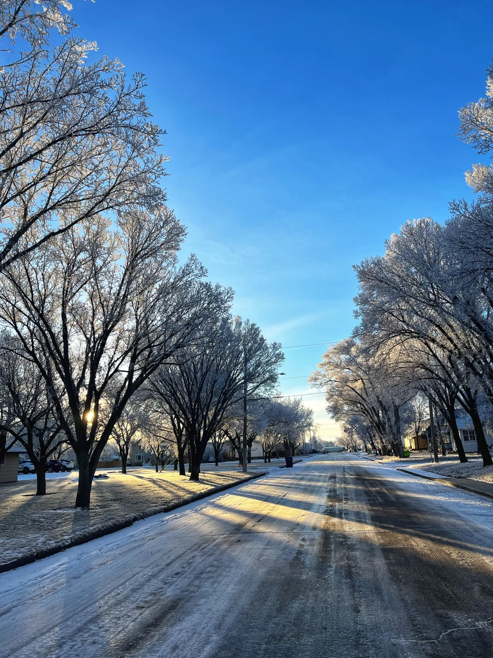 Tree Trimmers in Town Jan 2026 | Town of Shaunavon
