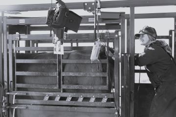 Deep Body Scans - What You Need to Know | ReproScan