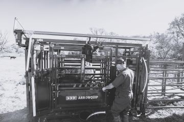 Applications | ReproScan