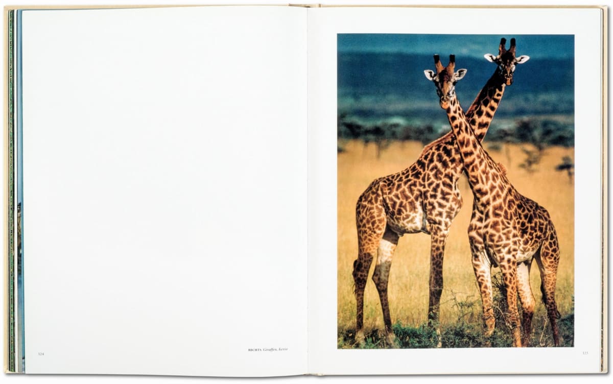 Frans Lanting. Eye to Eye