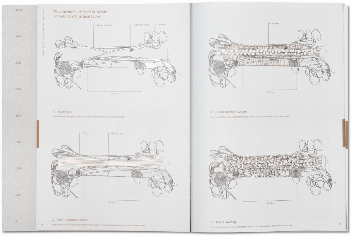 Julia Watson. Lo—TEK. Design by Radical Indigenism