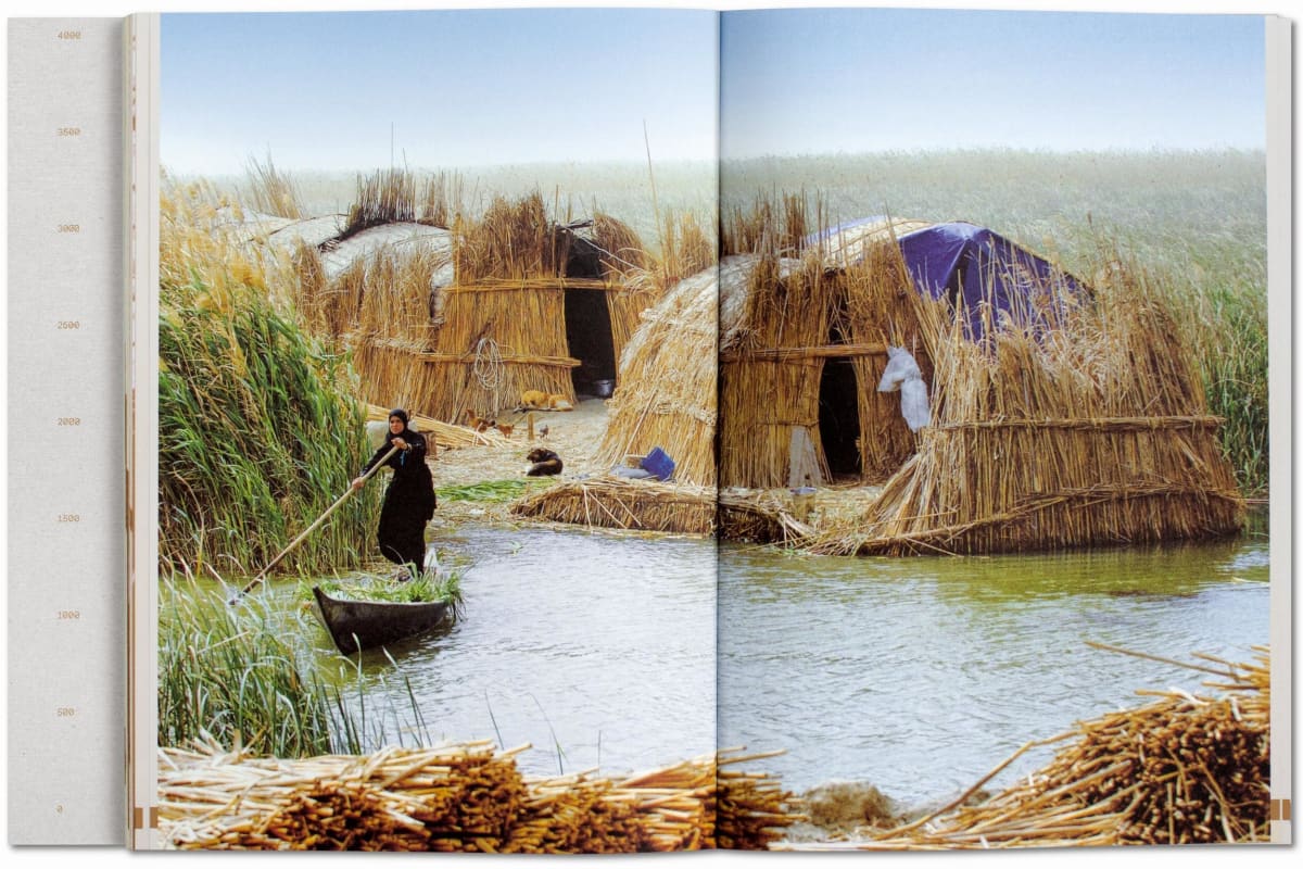 Julia Watson. Lo—TEK. Design by Radical Indigenism