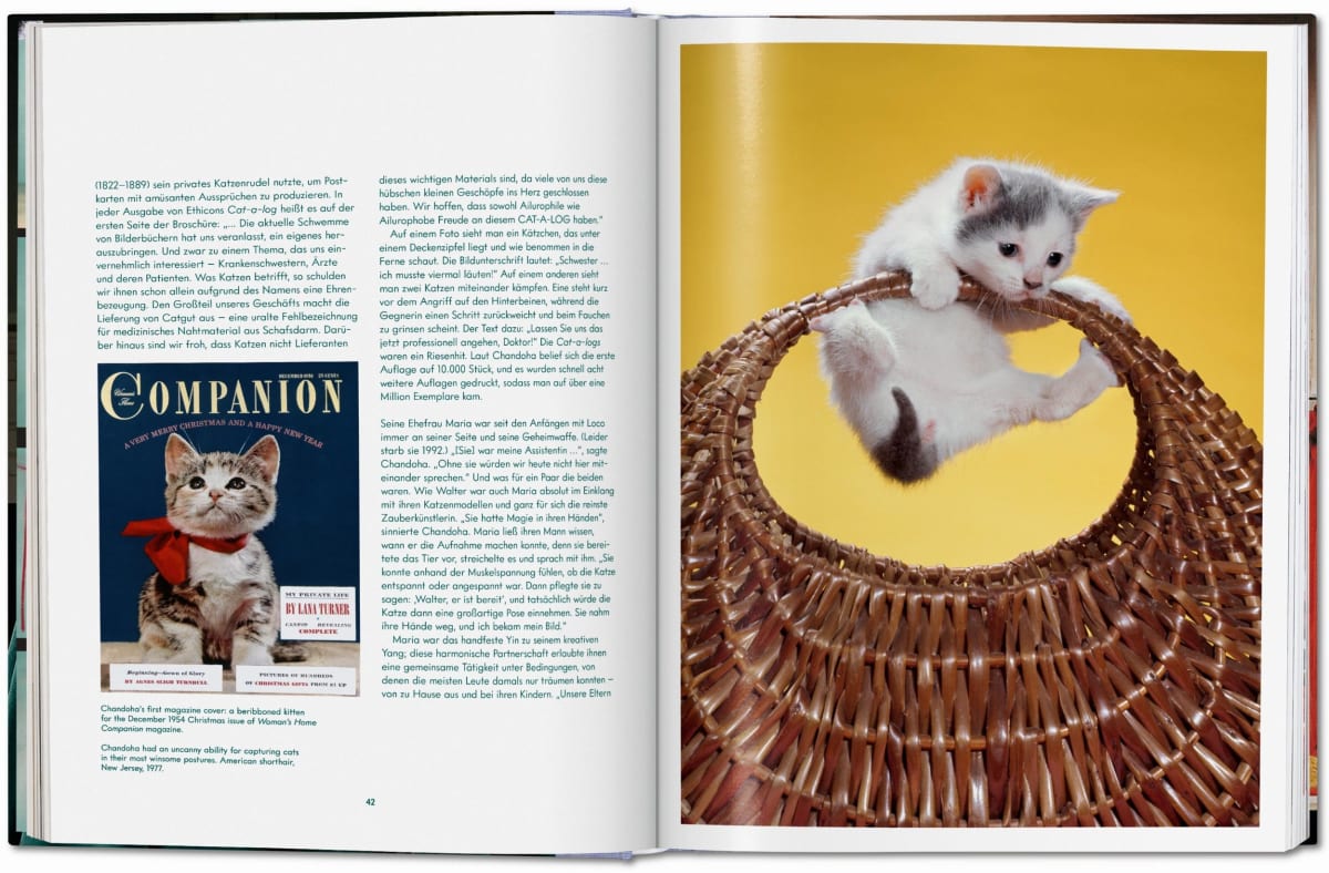 Walter Chandoha. Cats. Photographs 1942–2018