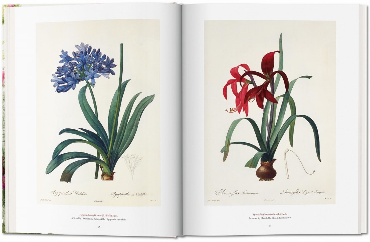 Redouté. The Book of Flowers
