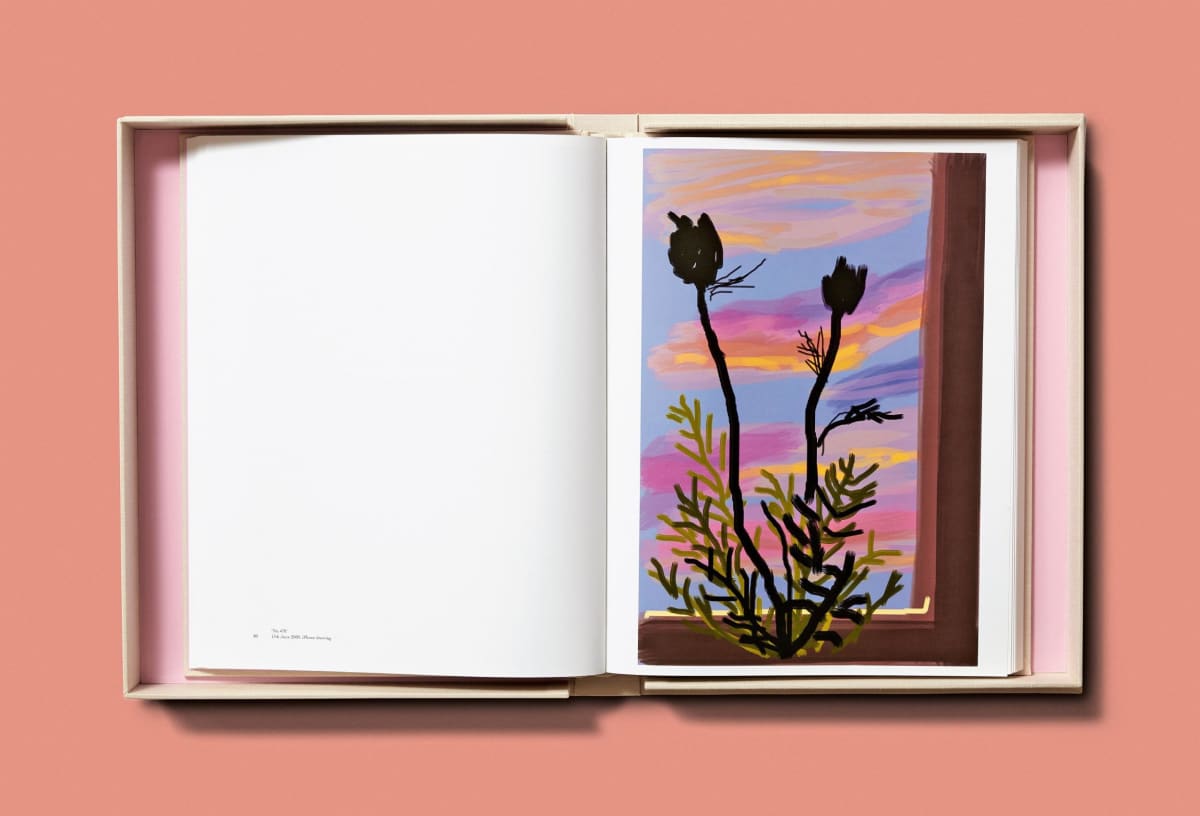 David Hockney. My Window