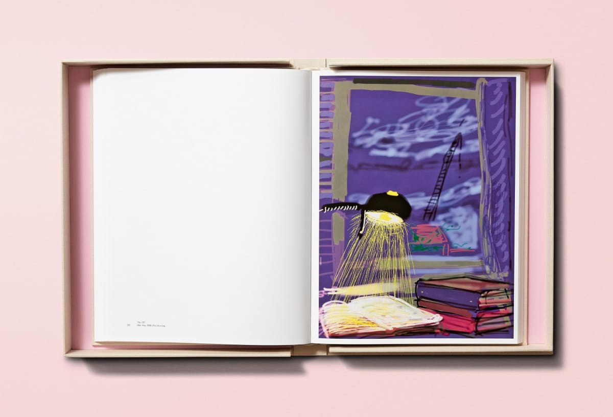 David Hockney. My Window