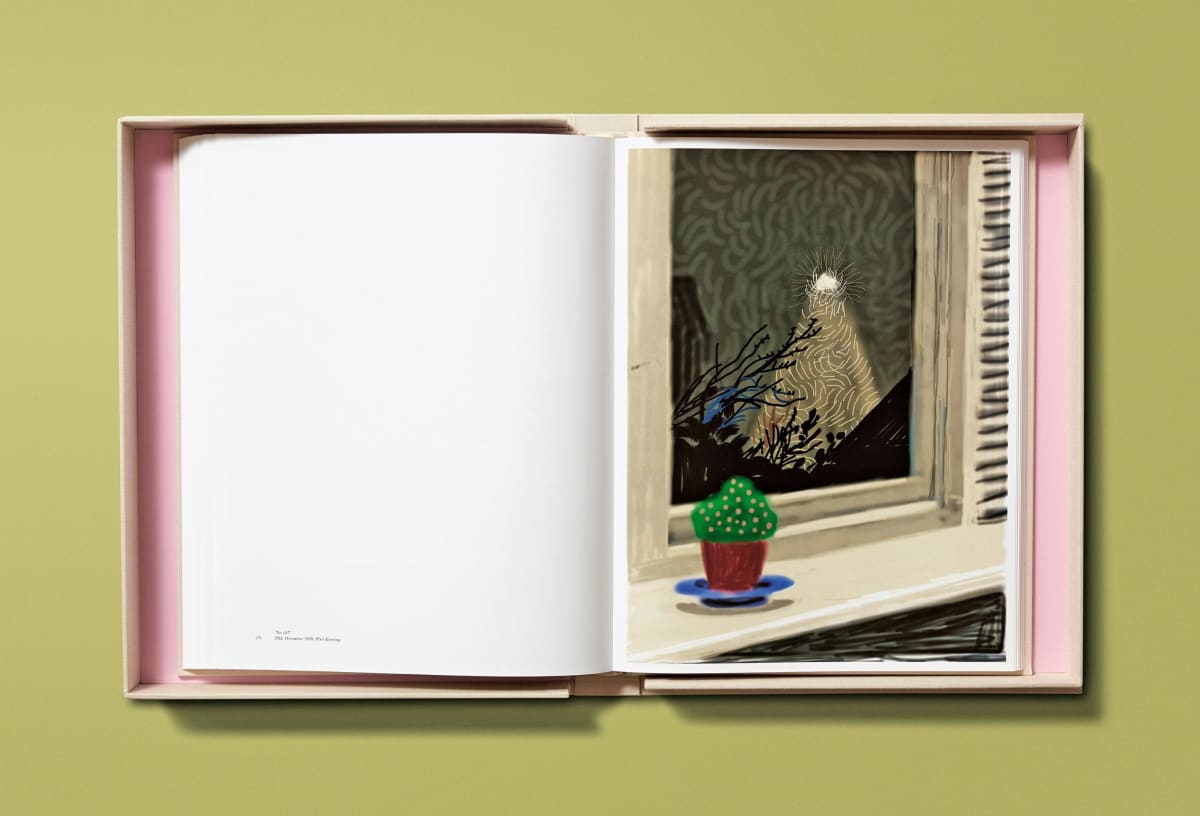 David Hockney. My Window