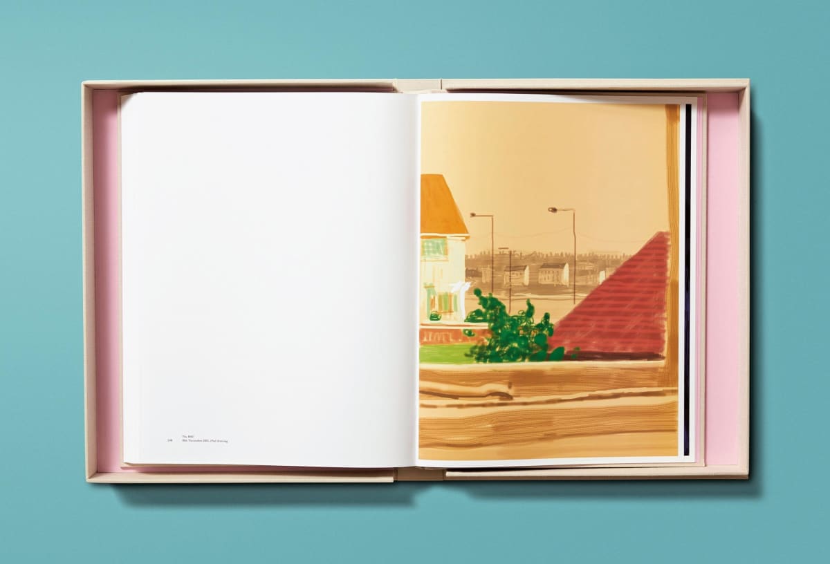 David Hockney. My Window