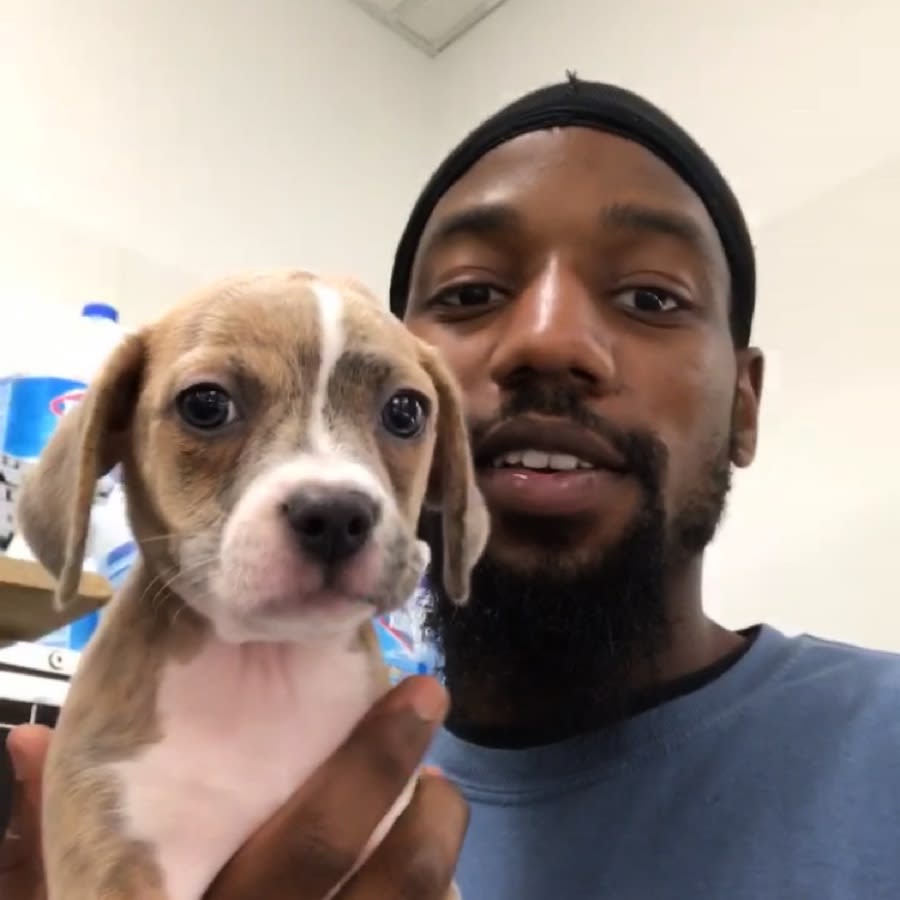 Weed Removal Services in Pittsburgh | TaskRabbit