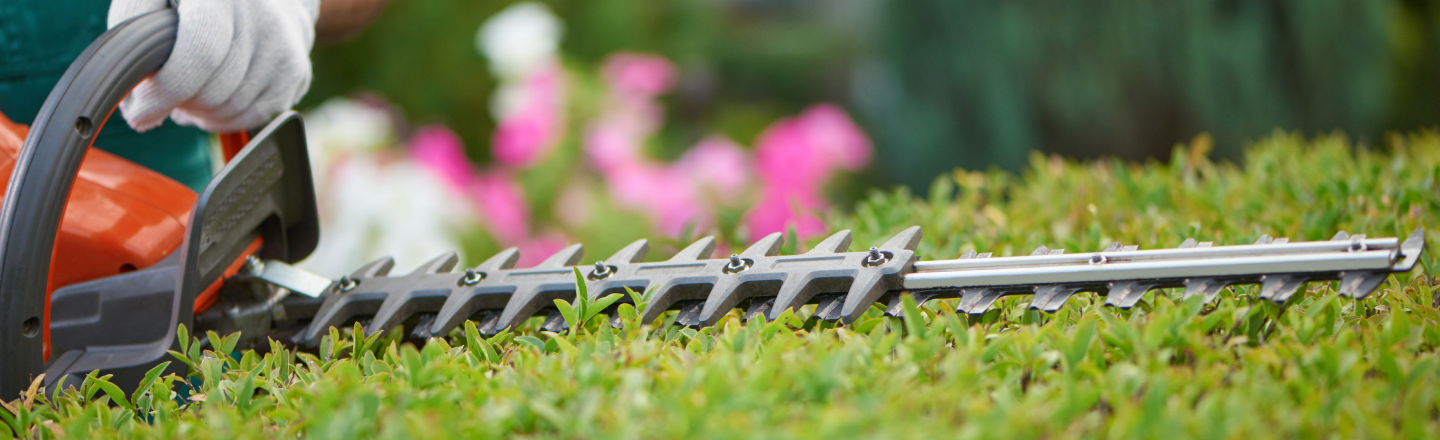 Hedge Trimming Service | Shrub Trimming | Taskrabbit