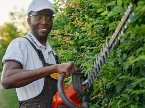 Hedge Trimming Service | Shrub Trimming | Taskrabbit